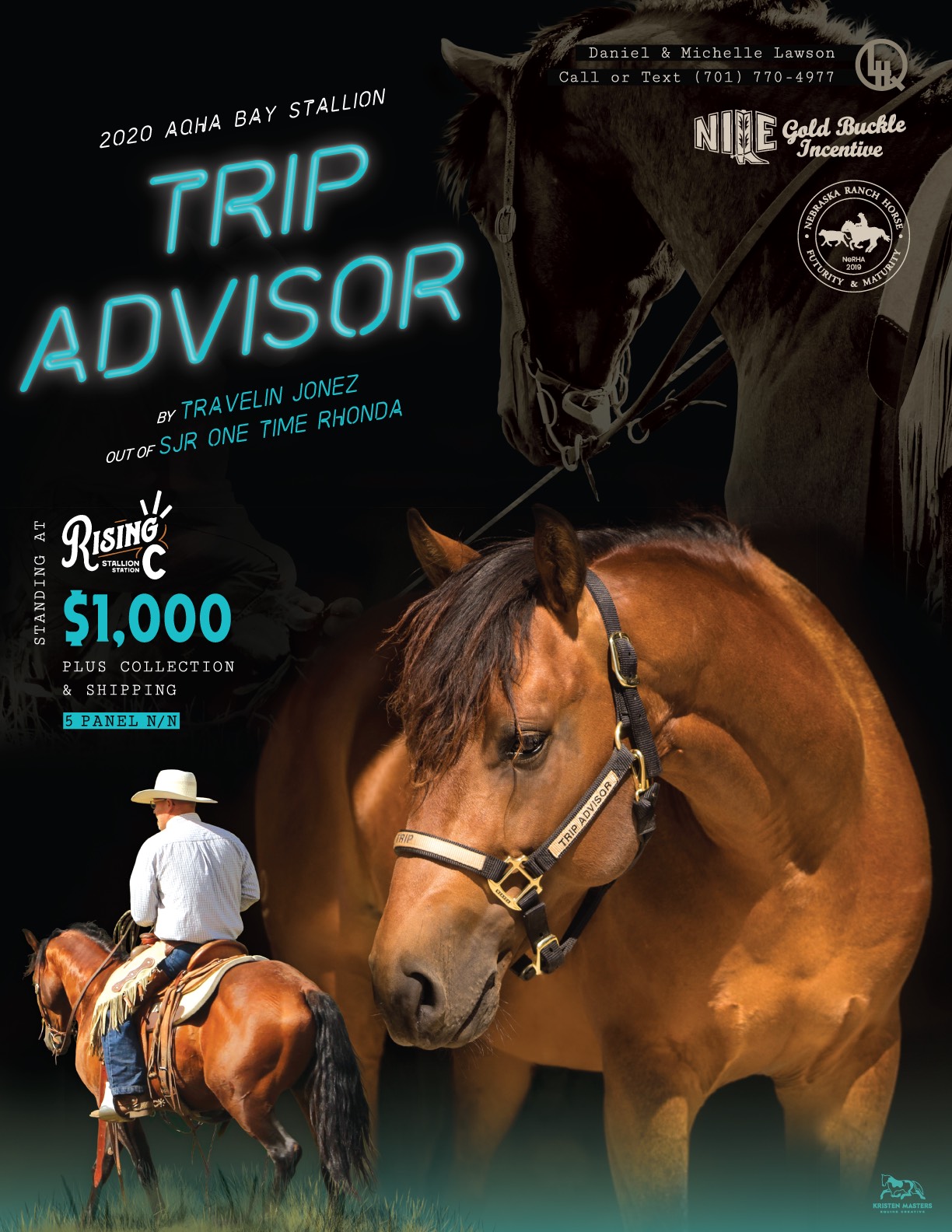 Trip Advisor- Updated Flyer | NILE